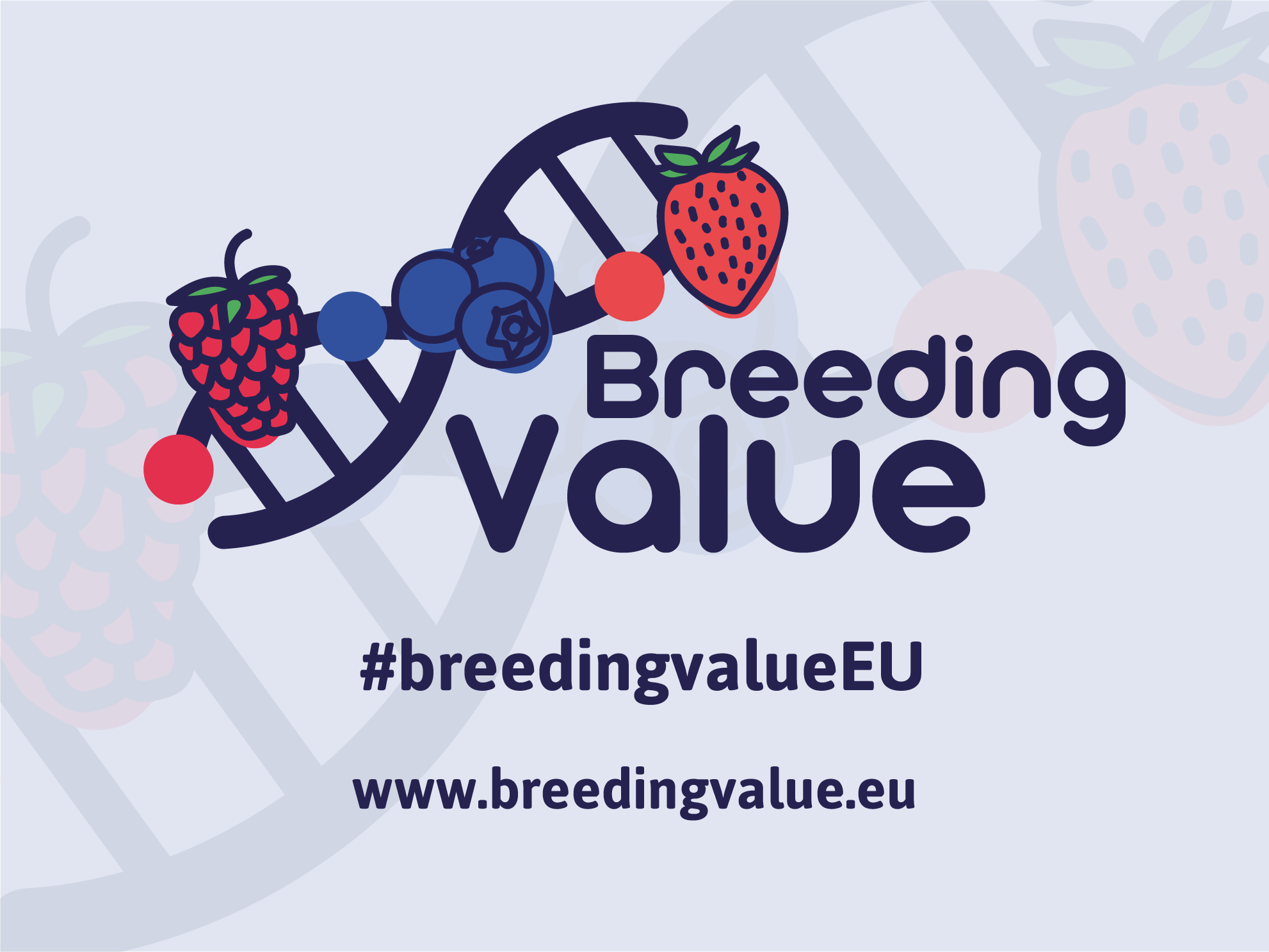 Germinate - The generic plant genetic resources database